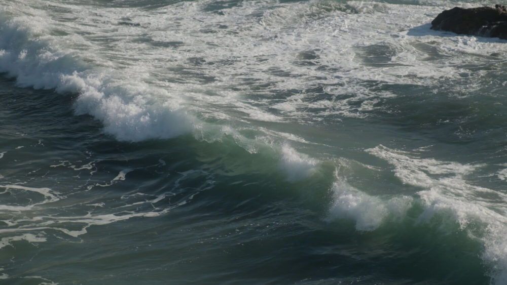 LUTs预设 富士相机F-Log/Log2转Rec.709色彩视频调色 Fuji F-Log to Rec.709 Updated F-Log2