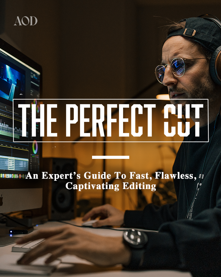 好莱坞电影大片编辑剪辑视频教程 中英文字幕 AOD - Art of Documentary - The Perfect Cut